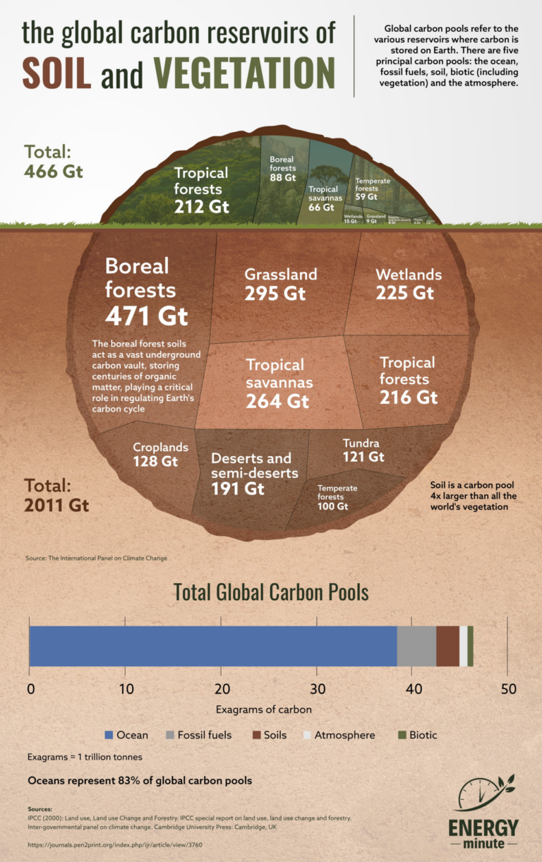 INFOGRAPHIC: The Global Carbon Reserves of Soil and Vegetation ...