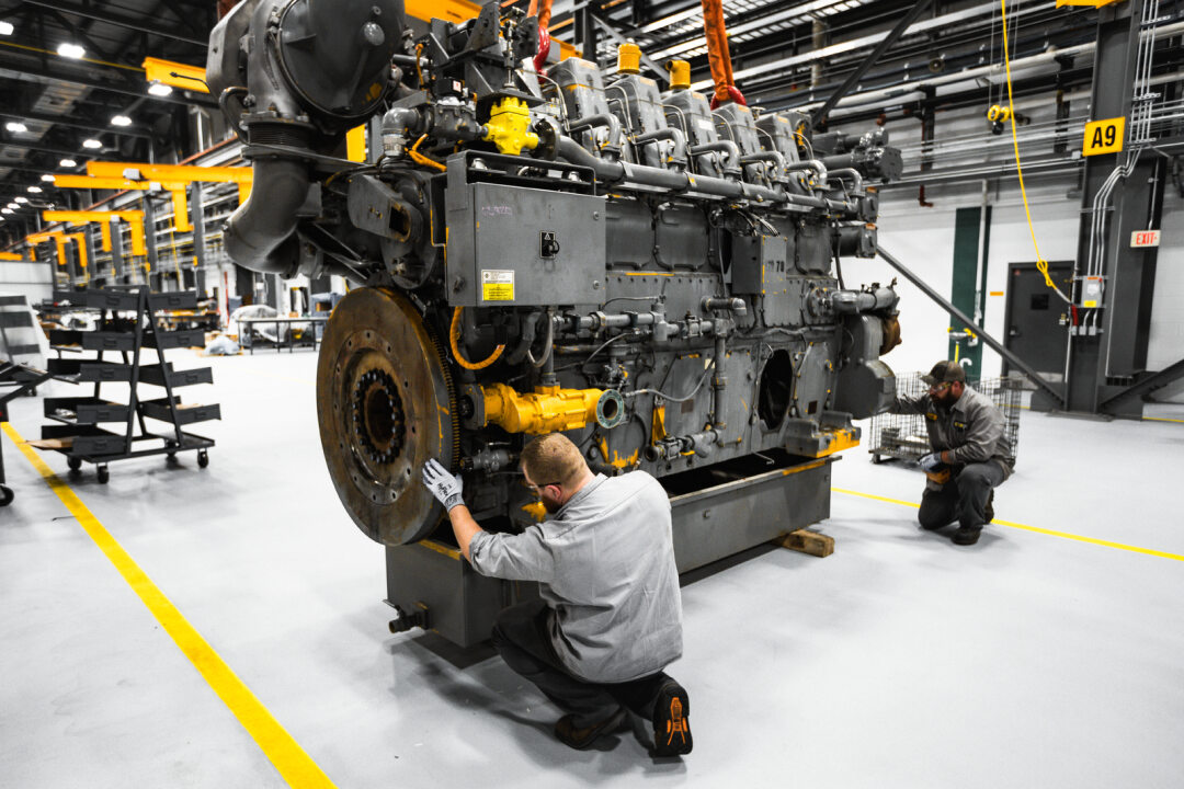 The Benefits of Specialized Expertise: Why You Should Choose a Cat ...